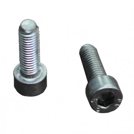 CHC M5 INOX A4 screw (316L)